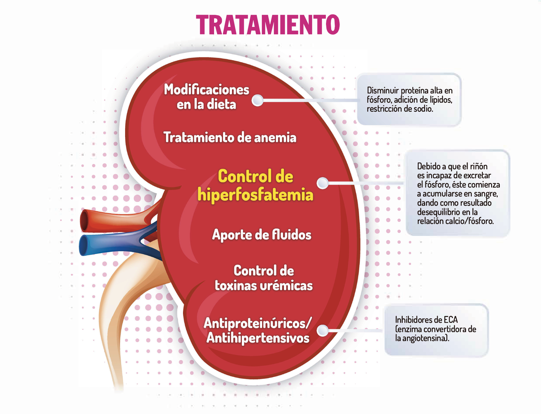 Lanzamiento de Fosf-OUT - Triton